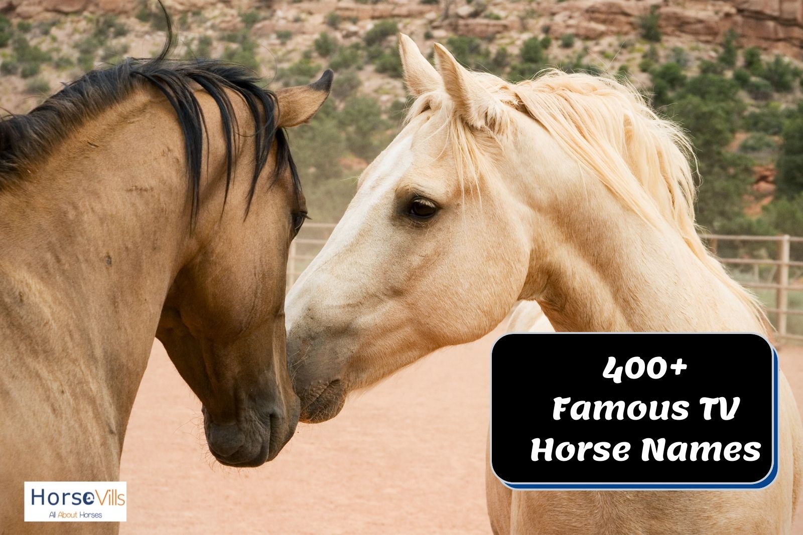 400 Alluring And Famous TV Horse Names My Store 400 Alluring And Famous TV Horse Names My Store