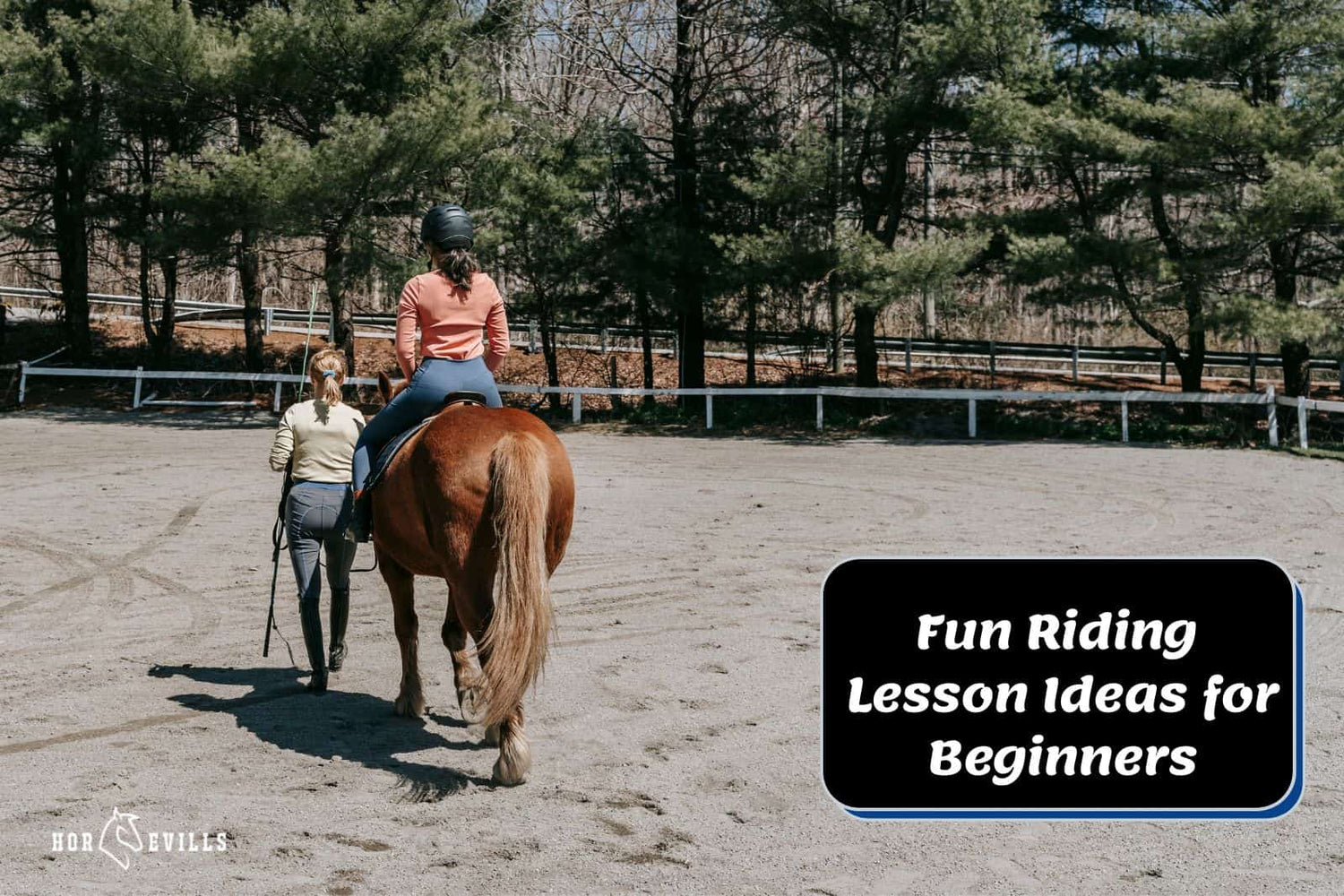 5 Fun Beginner Riding Lessons: Start Your Equestrian Journey – My Store