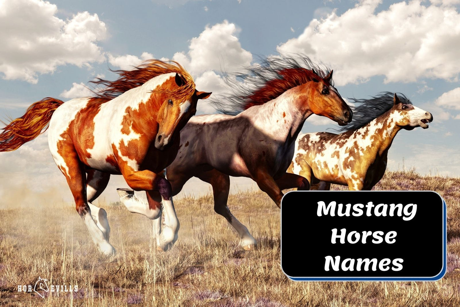 The Best 300+ Mustang Horse Names (Both for Males & Females) – My Store