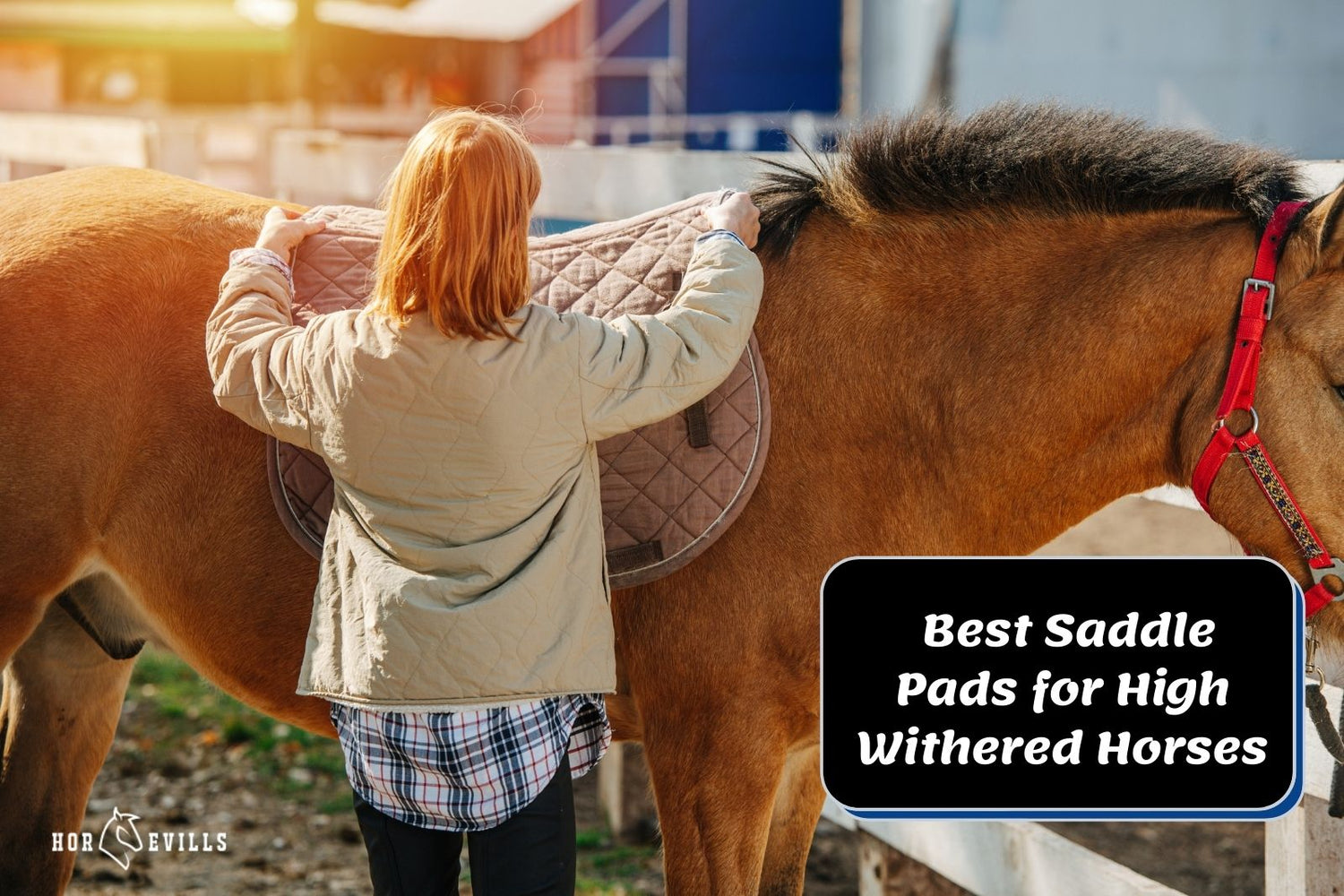 Top 7 Saddle Pads for High-Withered Horses – My Store