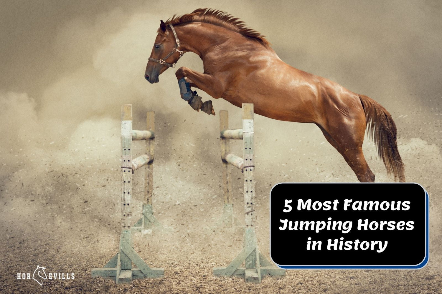 The Most Famous Jumping Horses in History (with Videos) – My Store