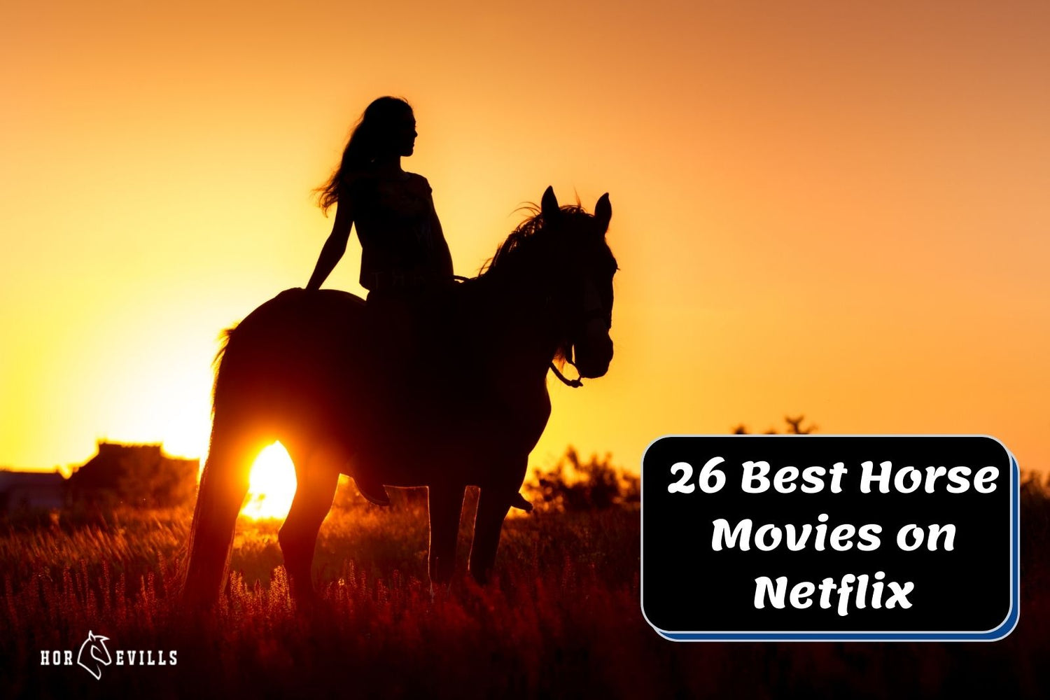 26 Must-Watch Horse Movies on Netflix – My Store