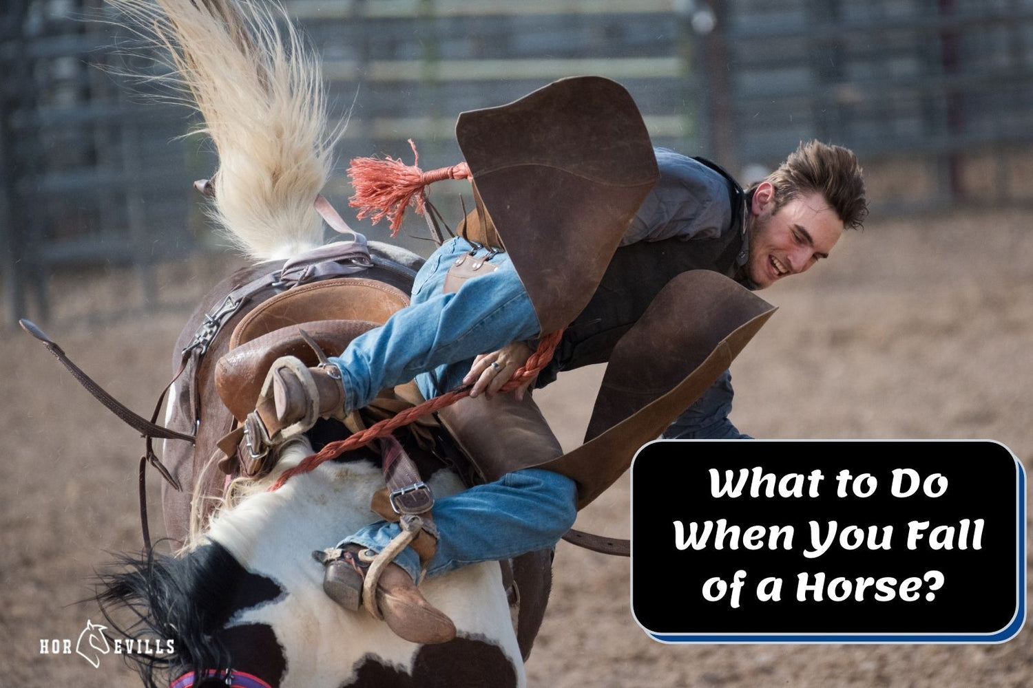 What to Do After Falling Off a Horse? (Safety Tips to Know) – My Store