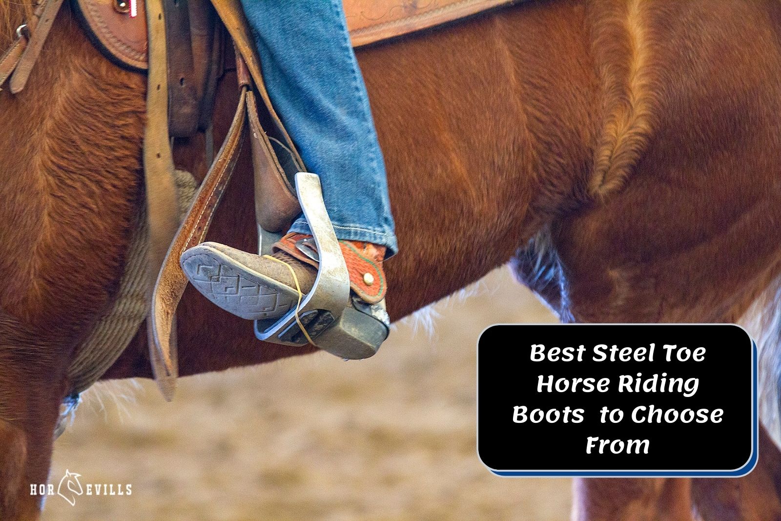 8 Best Steel Toe Horse Riding Boots [Expert's Top Picks Review] – My Store