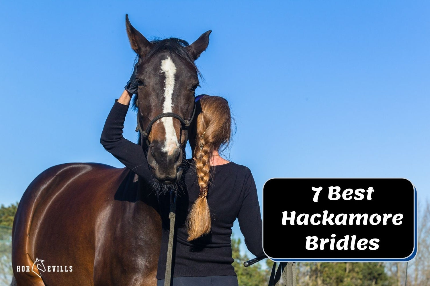 7 Best Hackamores for Horses (Buying Guide) – My Store