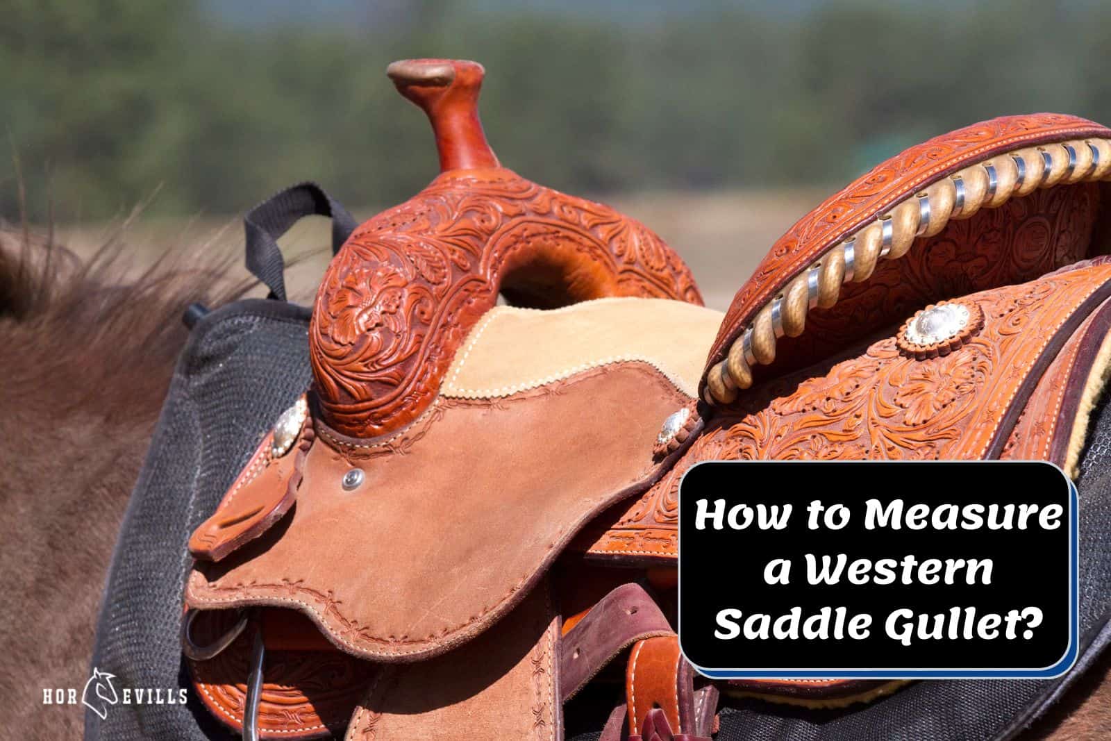 How to Measure a Western Saddle Gullet? [Detailed Guide] – My Store