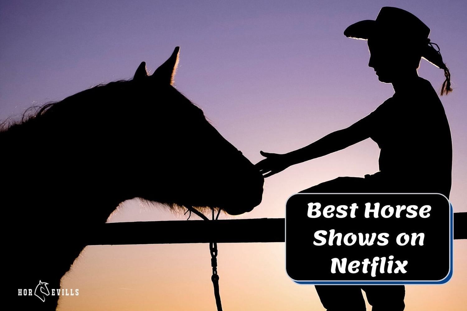28 BEST Horse Shows on Netflix to Binge-Watch at Home! – My Store
