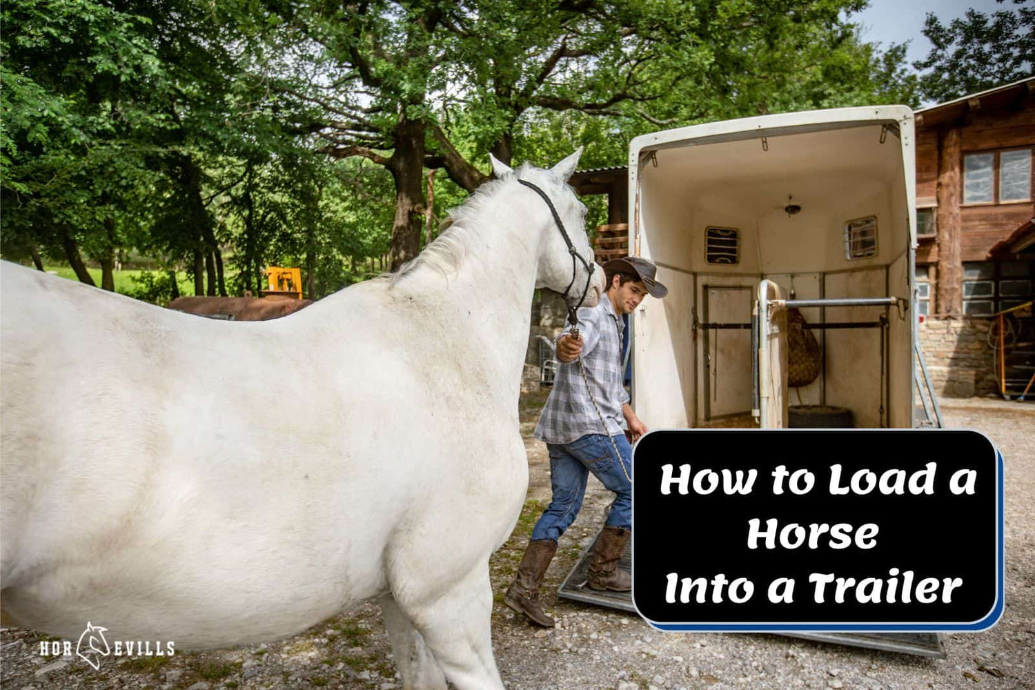 How to Load a Stubborn Horse into a Trailer? [Steps & Tips] – My Store